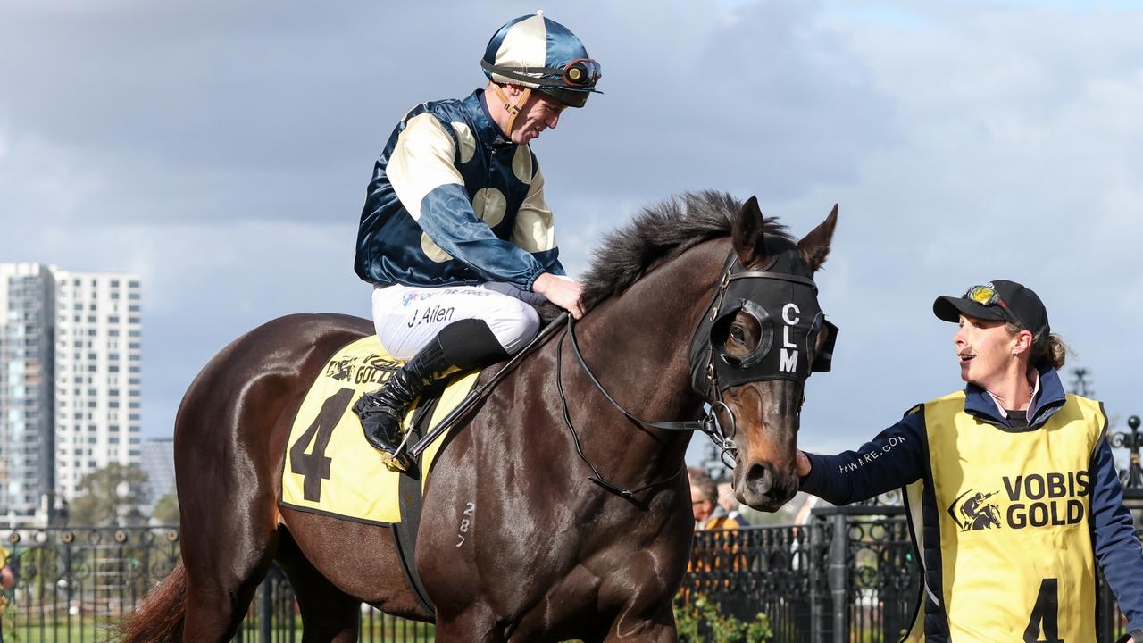Melbourne Cup 2023 Horses | Horse Details With Tips & Odds | Racenet