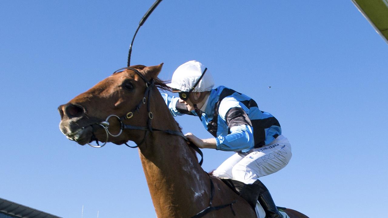 Group 1 Turnbull Stakes Flemington races spring carnival