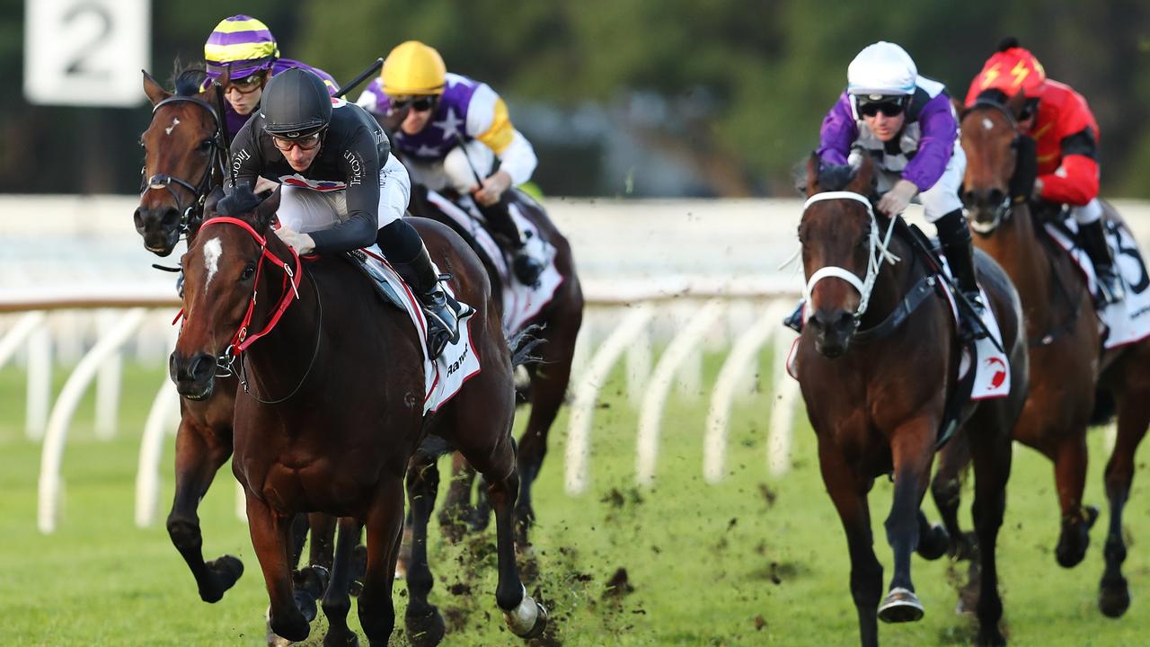 $14 value bet: Greg Polson's tips, analysis for Warwick Farm and ...