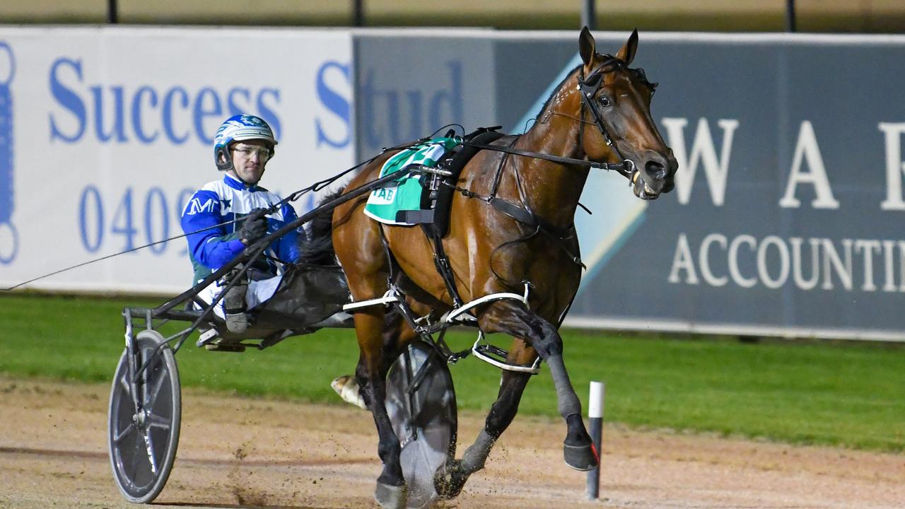 Expensive Ego set for explosive best in Victoria Cup