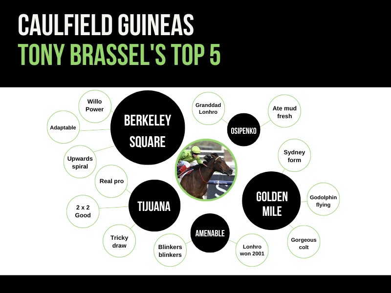 Tony Brassel's analysis, top five for the Caulfield Guineas