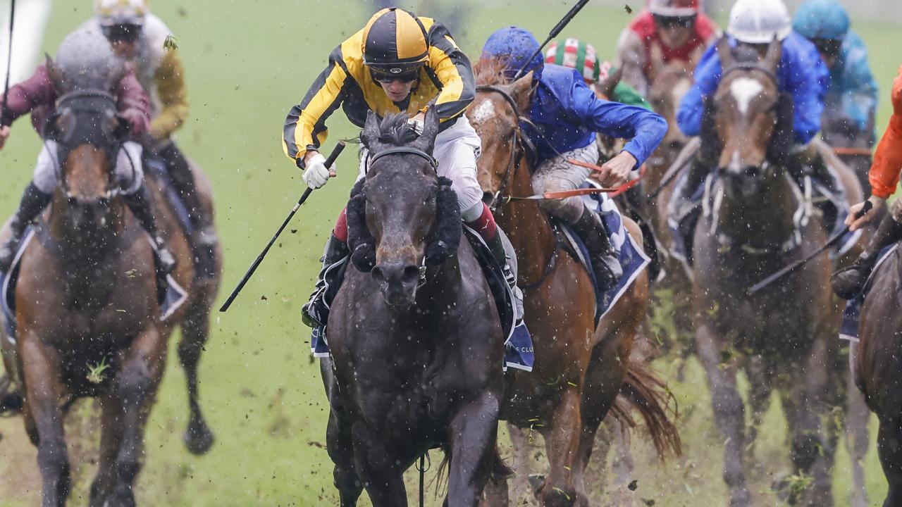 Silver Eagle moved to The Everest program after Randwick races called off