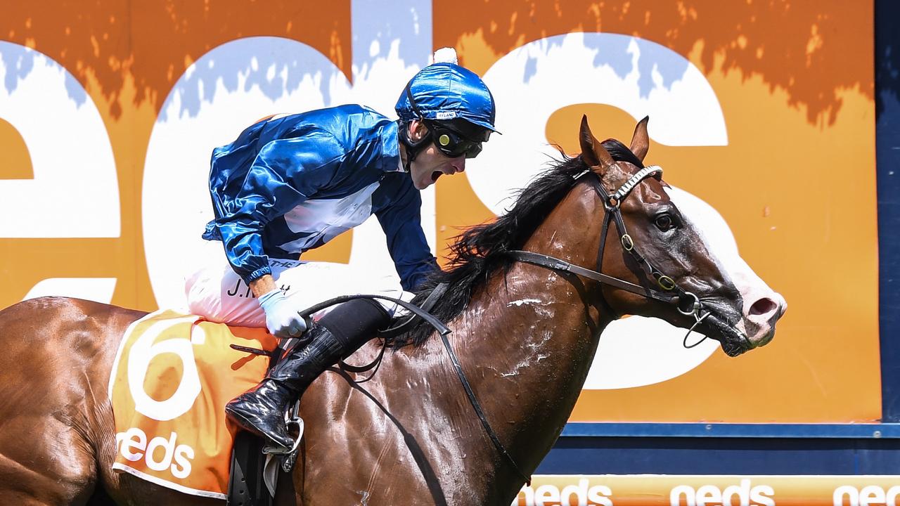 Unbeaten colt Lofty Strike ready to maintain winning streak in Blue ...
