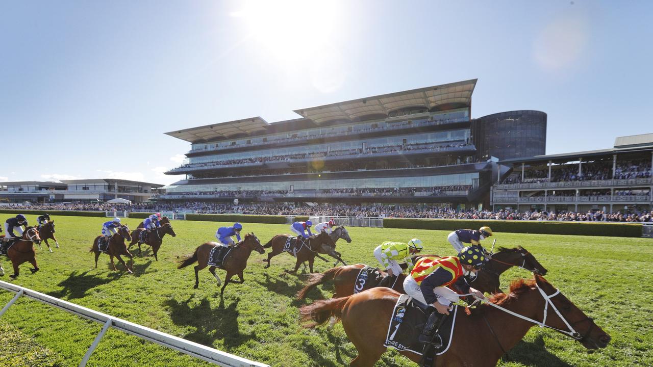 The Everest selections: National Racing Newsroom give their top four