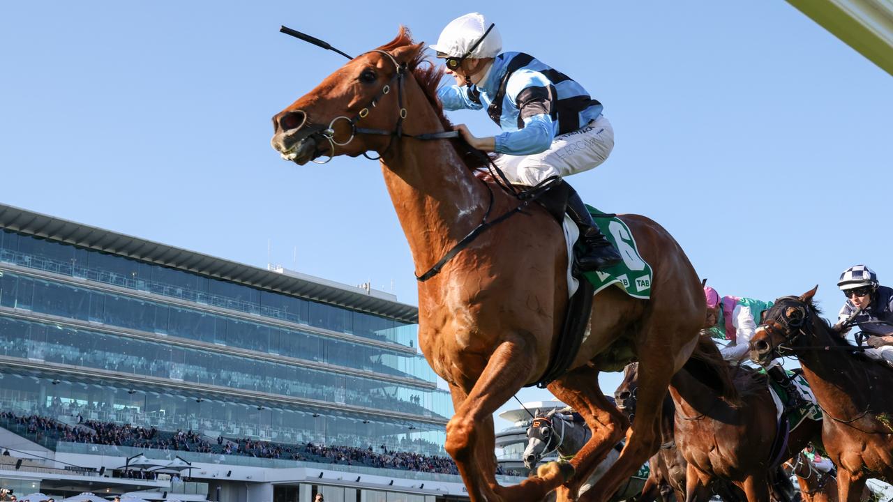 2025 Warrnambool Cup Field