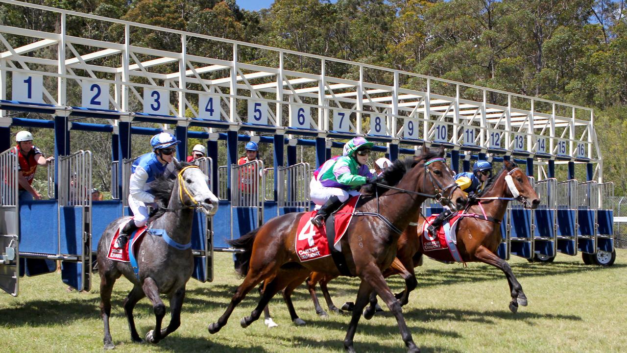 Greg Polson's Nowra and Lismore Tips: $18 value bet at Nowra - Racenet