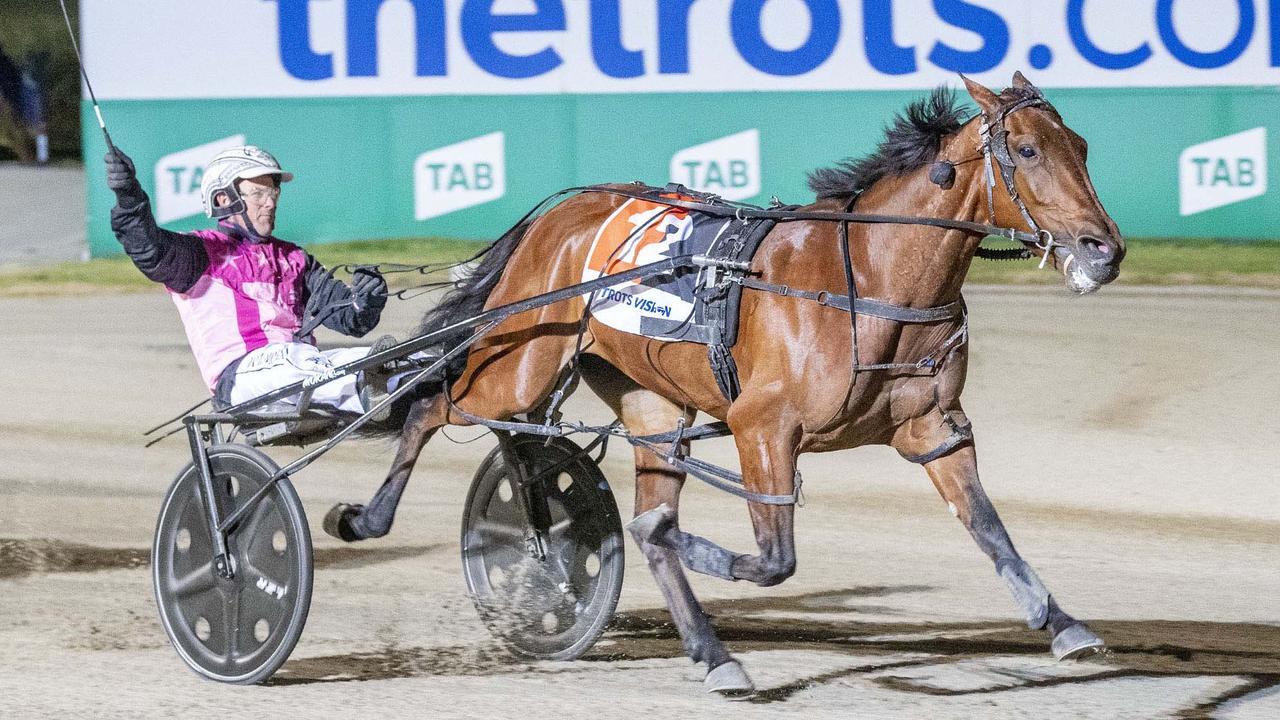 Harness racing: Ladies In Red draws poorly again for rematch against ...