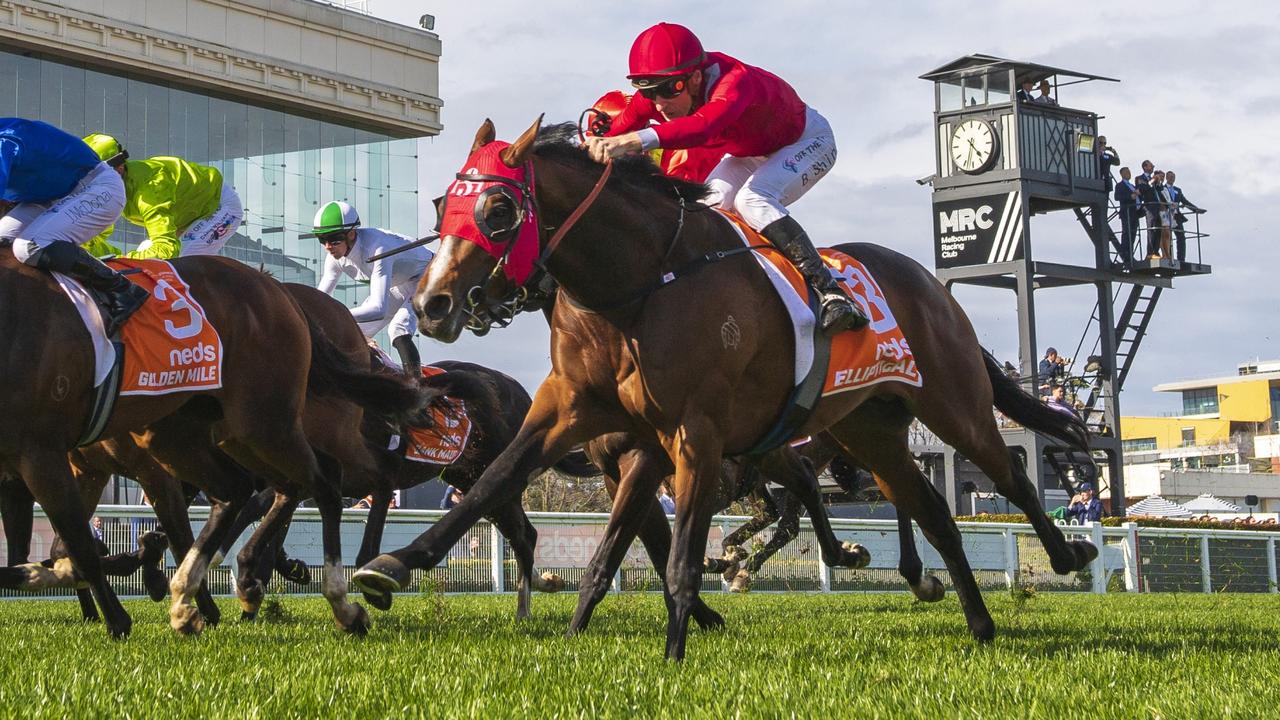 Elliptical draws inside in Spring Champion Stakes