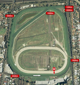 Cox Plate 2025 (Field, Tips, Odds & Results) - Racenet