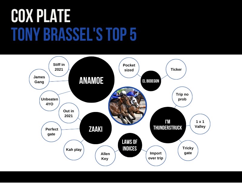 Tony Brassel's tips, top five for the Cox Plate