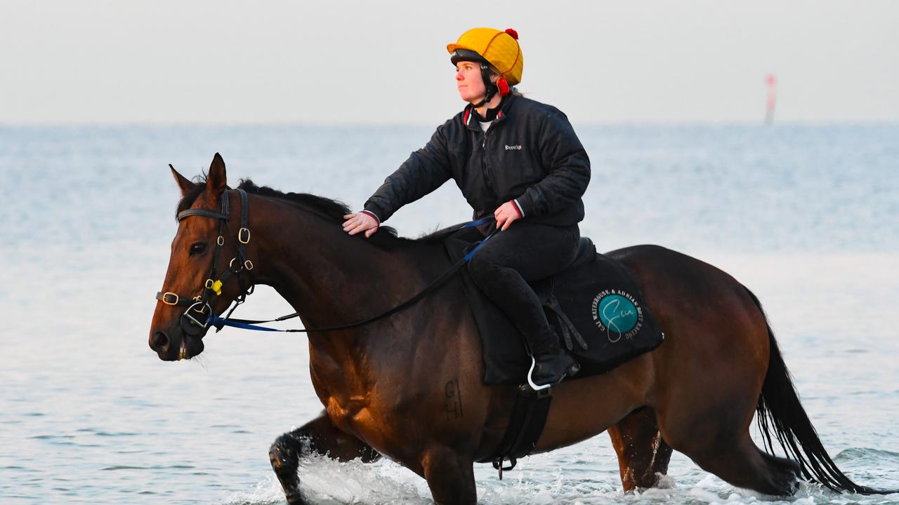 Alligator Blood passed by vets to take start in Cox Plate