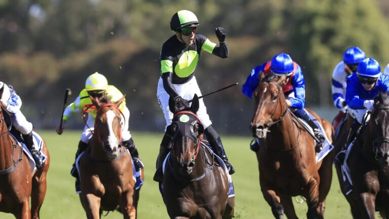 Giga Kick Stakes 2023 | Tips, Odds, Field & Results | Racenet