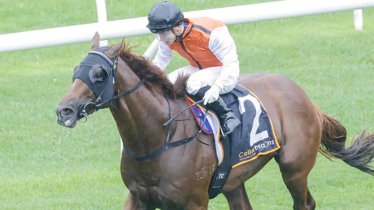 Cleverly named Ellsberg a hot favourite to claim inaugural Five Diamonds