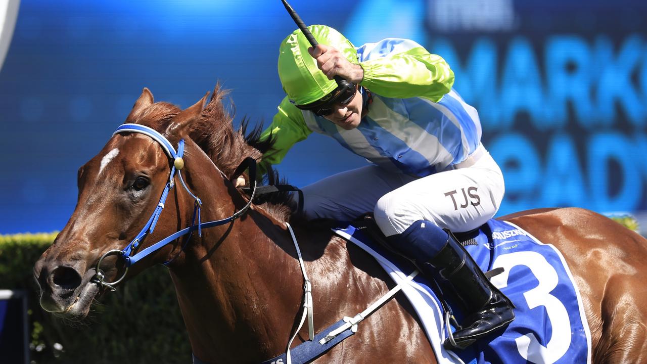 Bush king looks to make Front Page news in Sprint