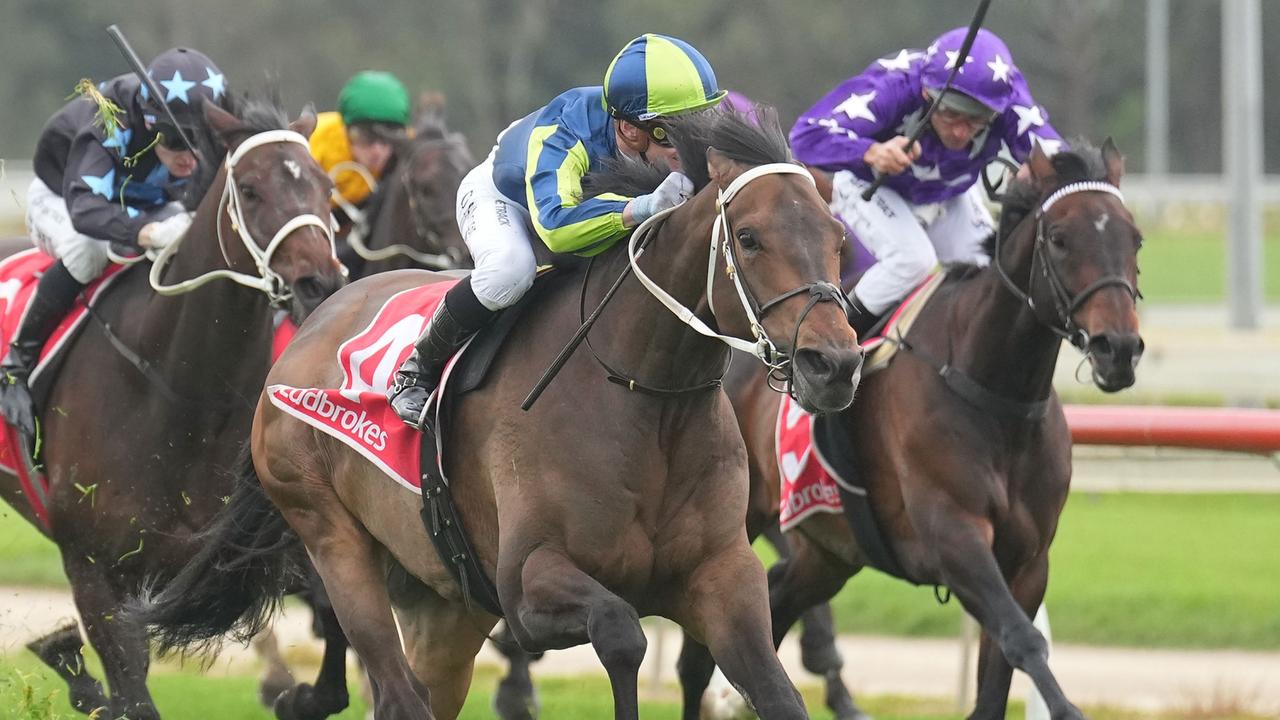 One last spring fling for Uncle Bryn in Cranbourne Cup - Racenet