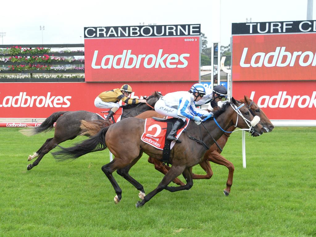 The Trackwalker's tips, analysis for Cranbourne: $3.50 best bet - Racenet