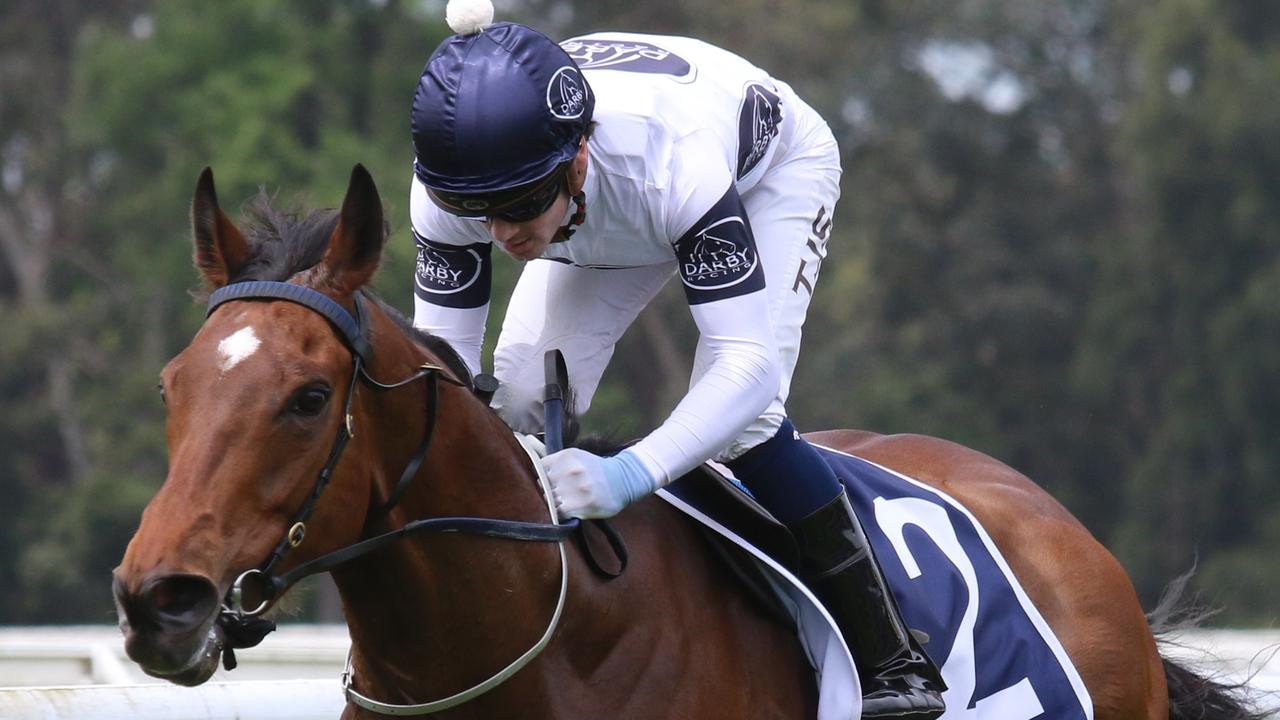 Mark Newnham's King Frankel set to rule in The Beauford at Newcastle