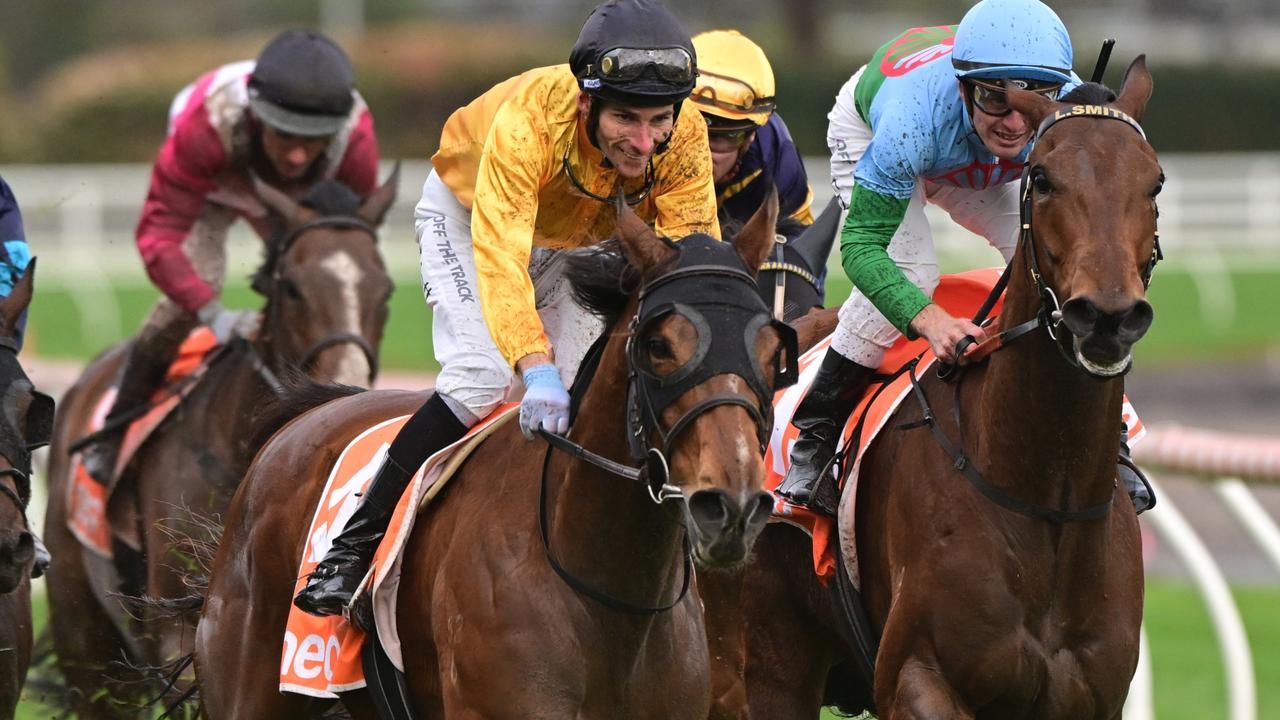 Jamie Mott says Callsign Mav horse to beat in Cranbourne Cup