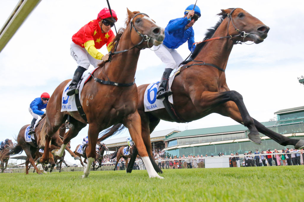 The Hunter 2023 Horse Race | Tips, Odds & Field | Racenet