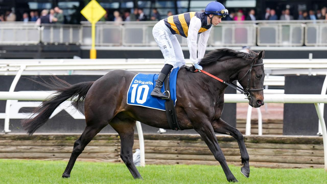 Ballarat Cup Matt Cumani Future Score