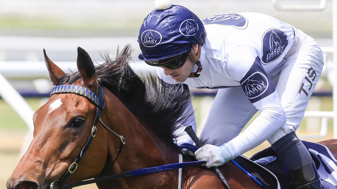 Ray Thomas blackbook: Just how good is King Frankel? - Racenet