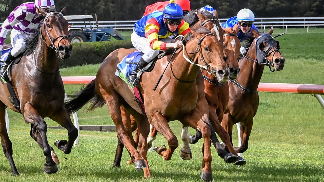 Penshurst Cup Day tips: Lovano in the last - Racenet