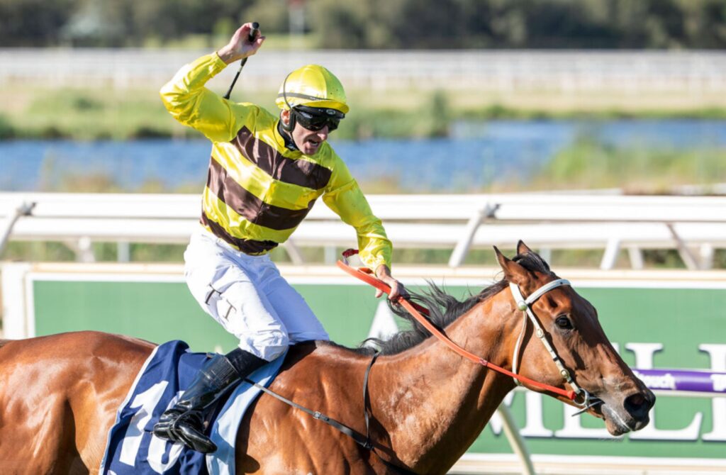 Railway Stakes 2023 | Tips, Odds, Field & Results | Racenet