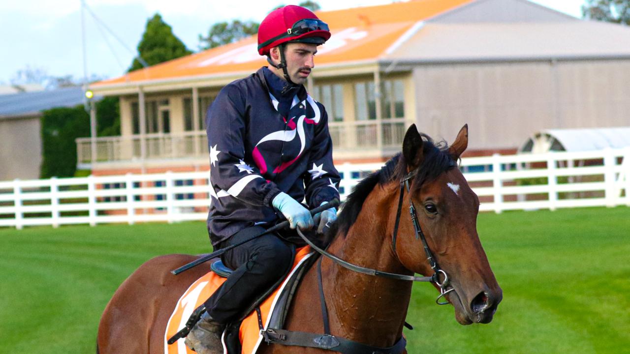 Gangster-inspired colt Gangitano to debut Caulfield