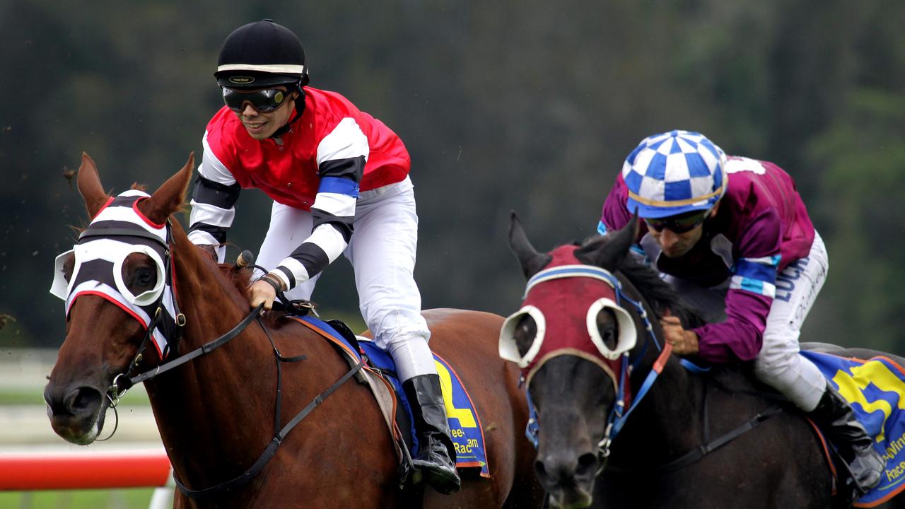 Greg Polson's Taree, Sapphire Coast Tips: $4 best bet - Racenet