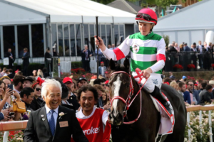 Japan Horse Racing (Races, Tracks & How To Watch) - Racenet