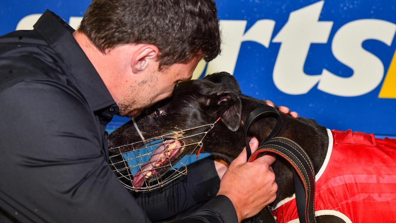 Bold Trease rematch headlines Newcastle Cup - Racenet