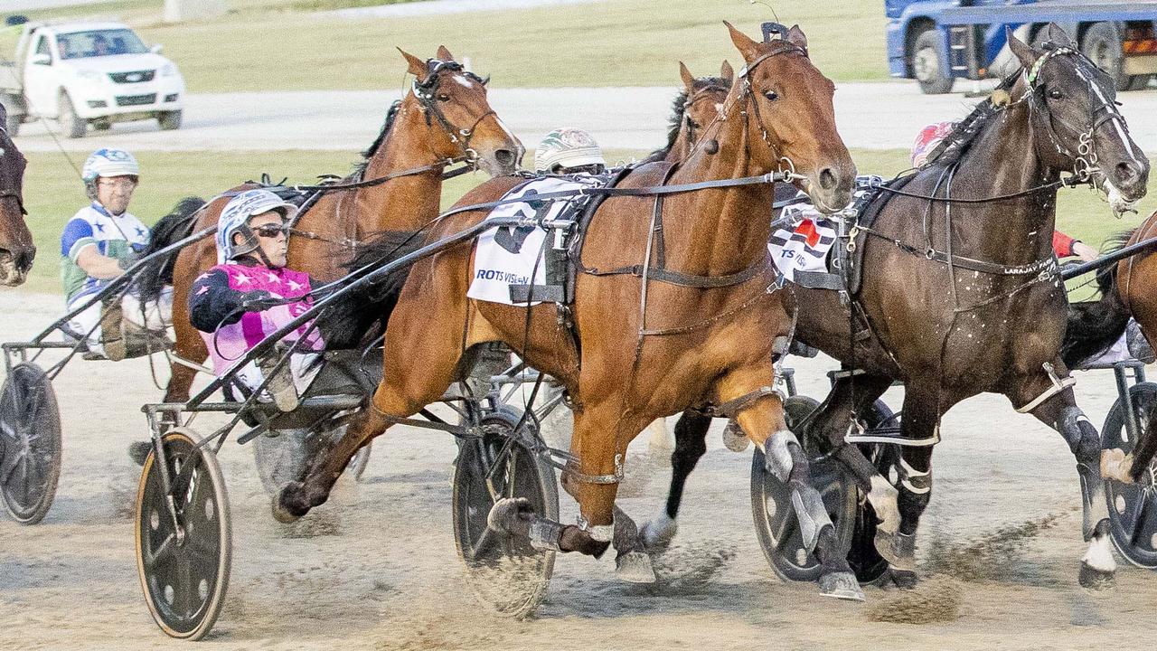 With five runners in the final Emma Stewart leads female domination in ...