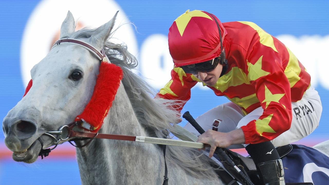 Sara Ryan has first stakes runner Much Much Better at Randwick