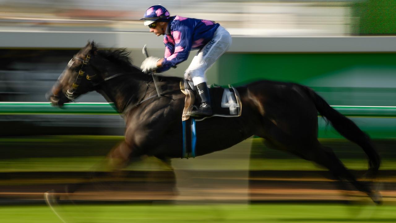 Doomben horse racing preview and tips