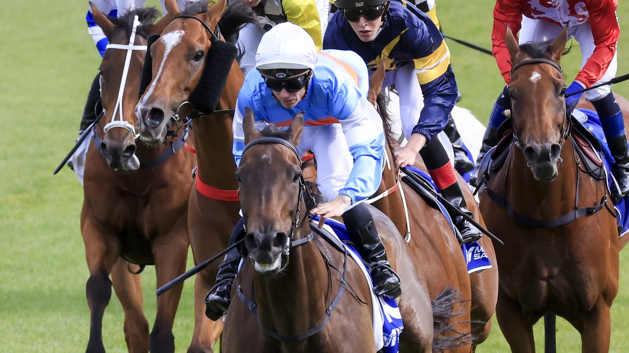 Adrian Bott picks Riodini as the stable's best chance in The Ingham