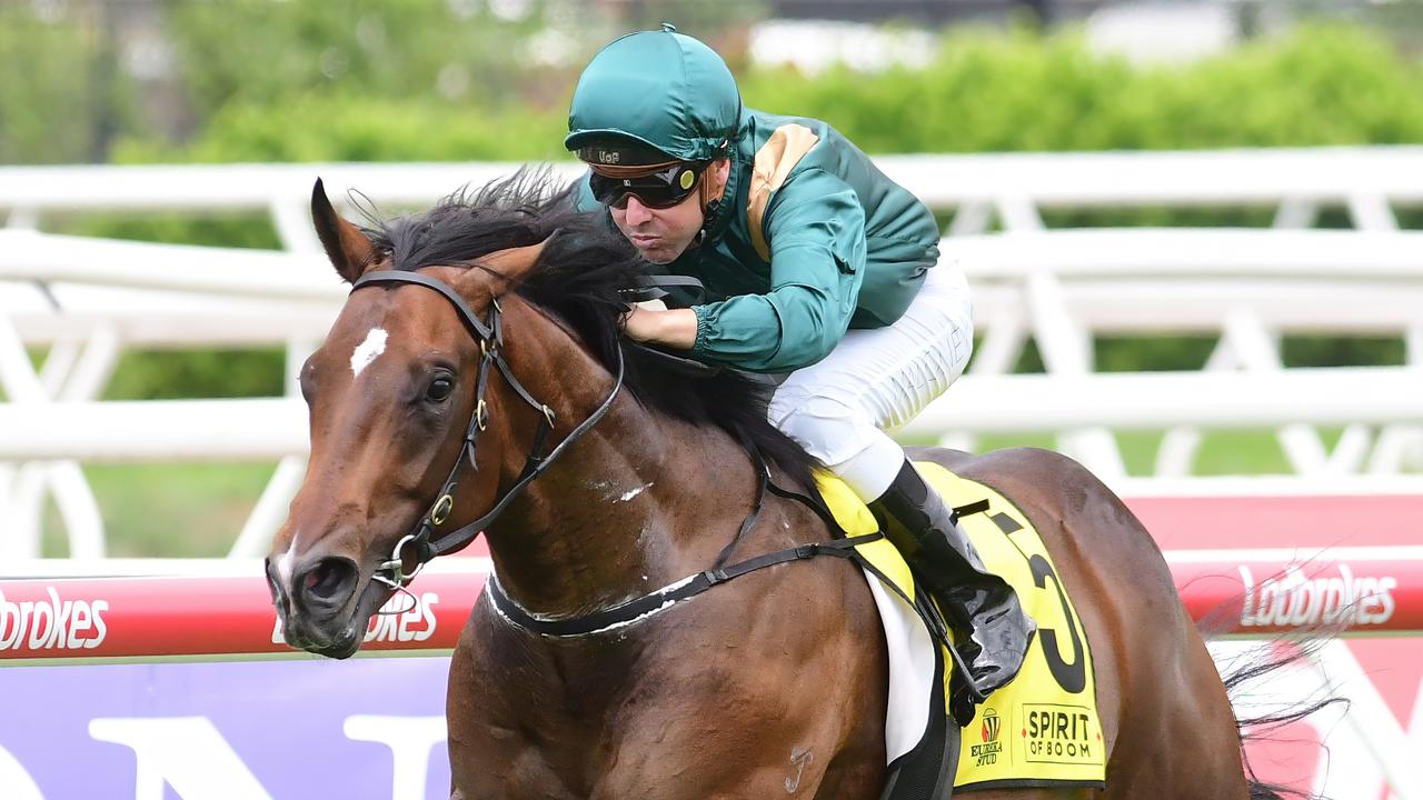 Godfather, Malaboom confirm Magic Millions credentials at Eagle Farm