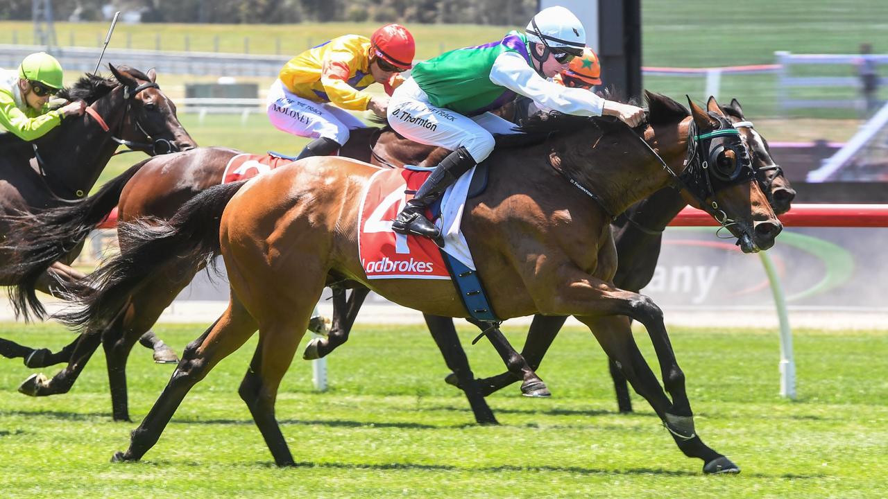 Reece Goodwin to tackle Flemington's JRA Cup with Never Again