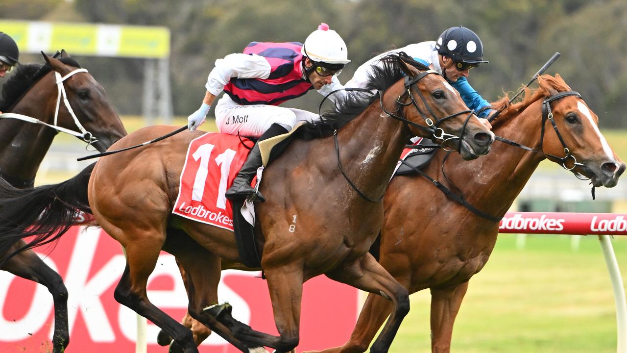 Pro Punter The Trackwalker's best bets for racing on Boxing Day - Racenet