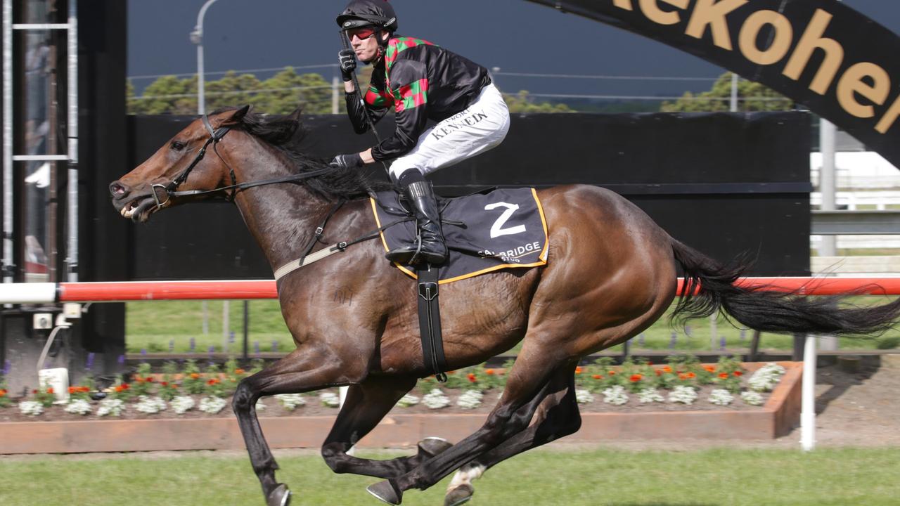 Defibrillate wins Monday's Group 1 Zabeel Classic at Pukekohe