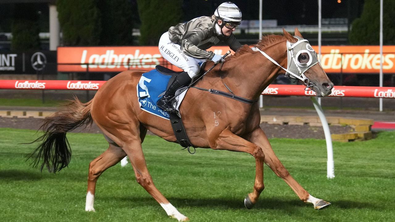 Luke Oliver holds strong Valley hand with three runners in a race ...