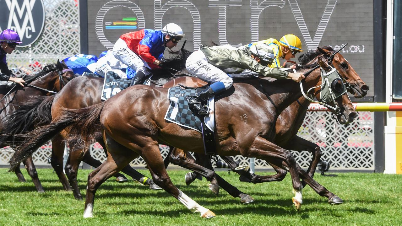 Dead-heat for trainers Luke Oliver and Cliff Brown after attacking with ...