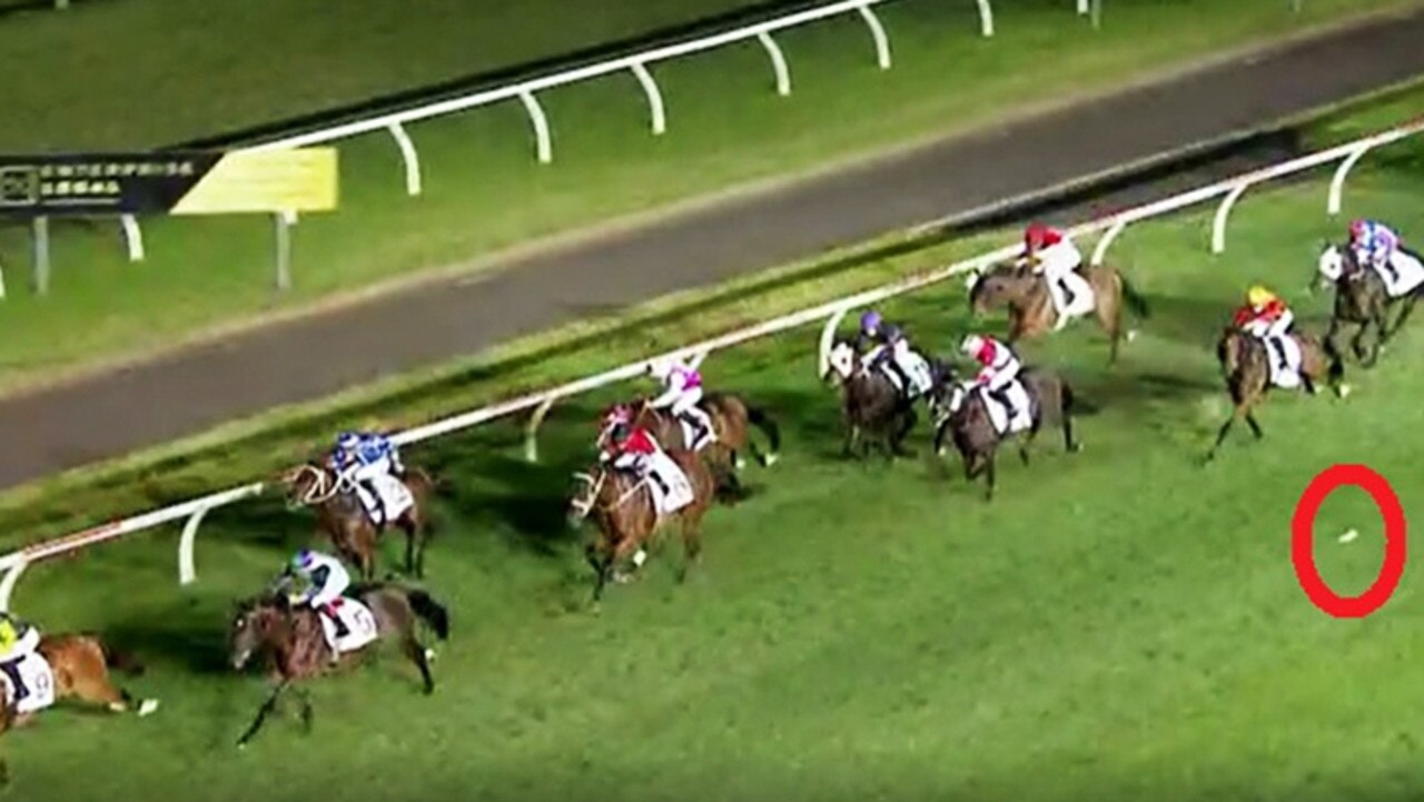 Officials hunt Toowoomba beer can thrower