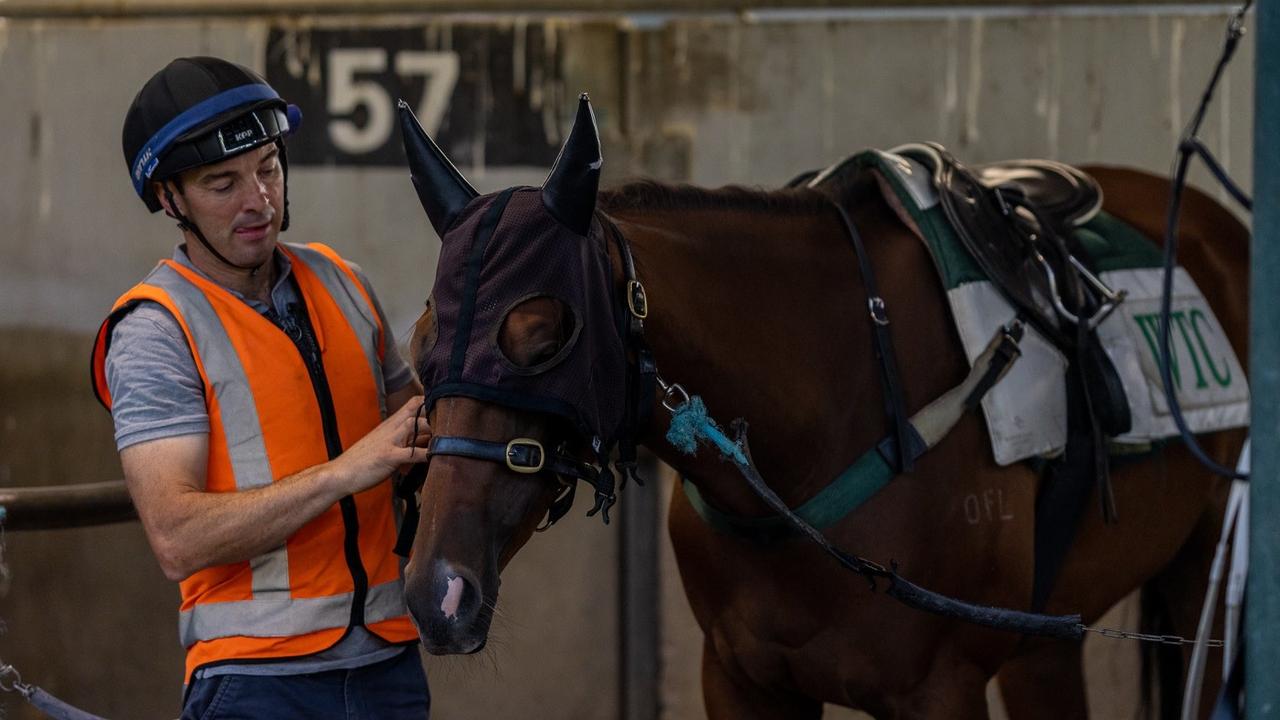 How trainer Niki O'Shea turned his career around after ‘embarrassing' saga