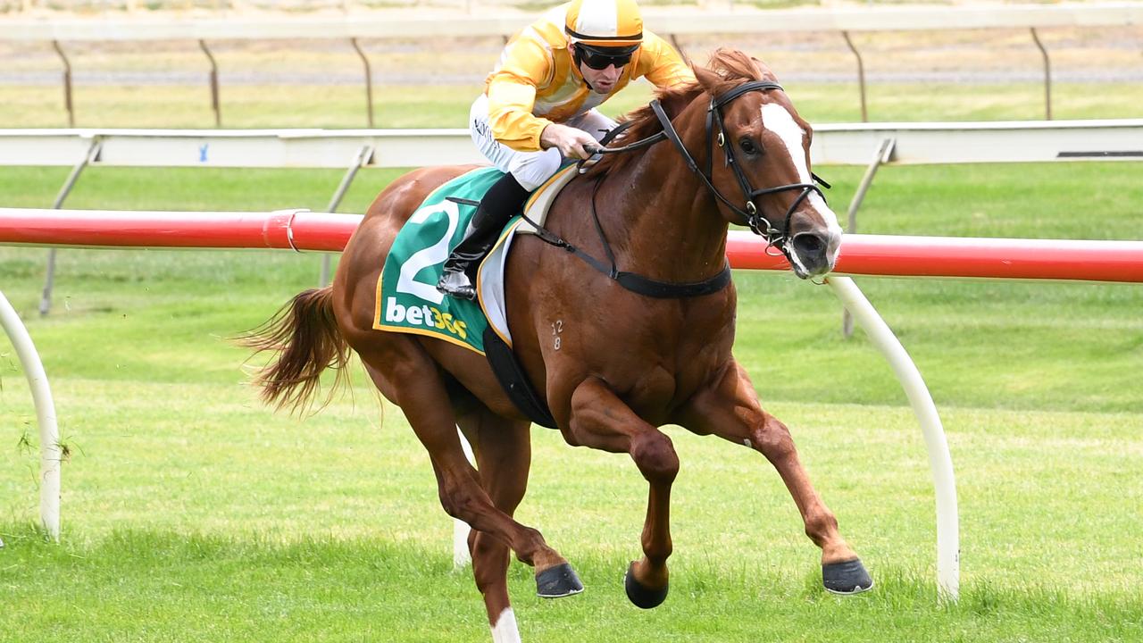 Tony Noonan trained Rusheen the best bet of Thursday night's Pakenham ...