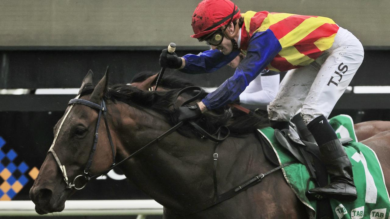 Eleven Eleven could become the first horse to win four races at Magic ...