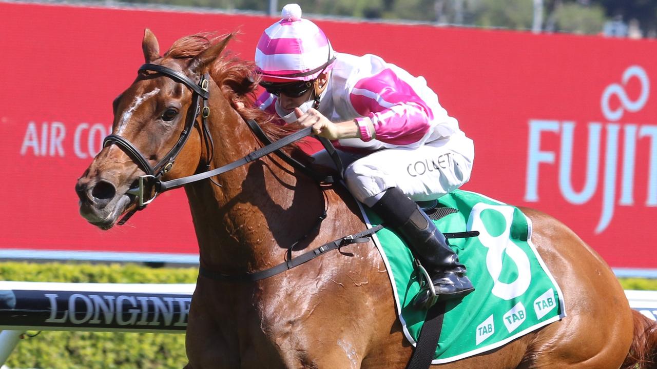 Ruby Tuesday ready for Carrington Stakes and raise for money for research