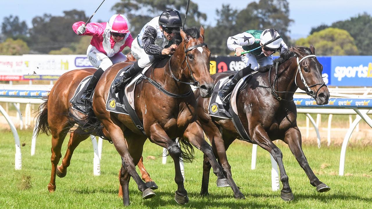 Trainers Ben and JD Hayes to tackle Flemington straight race with ...