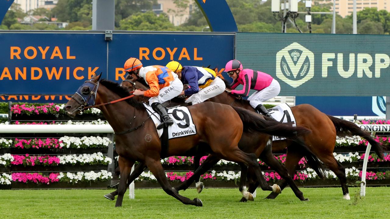 Stakes roll of the dice pays dividends for Cuban in Carrington - Racenet