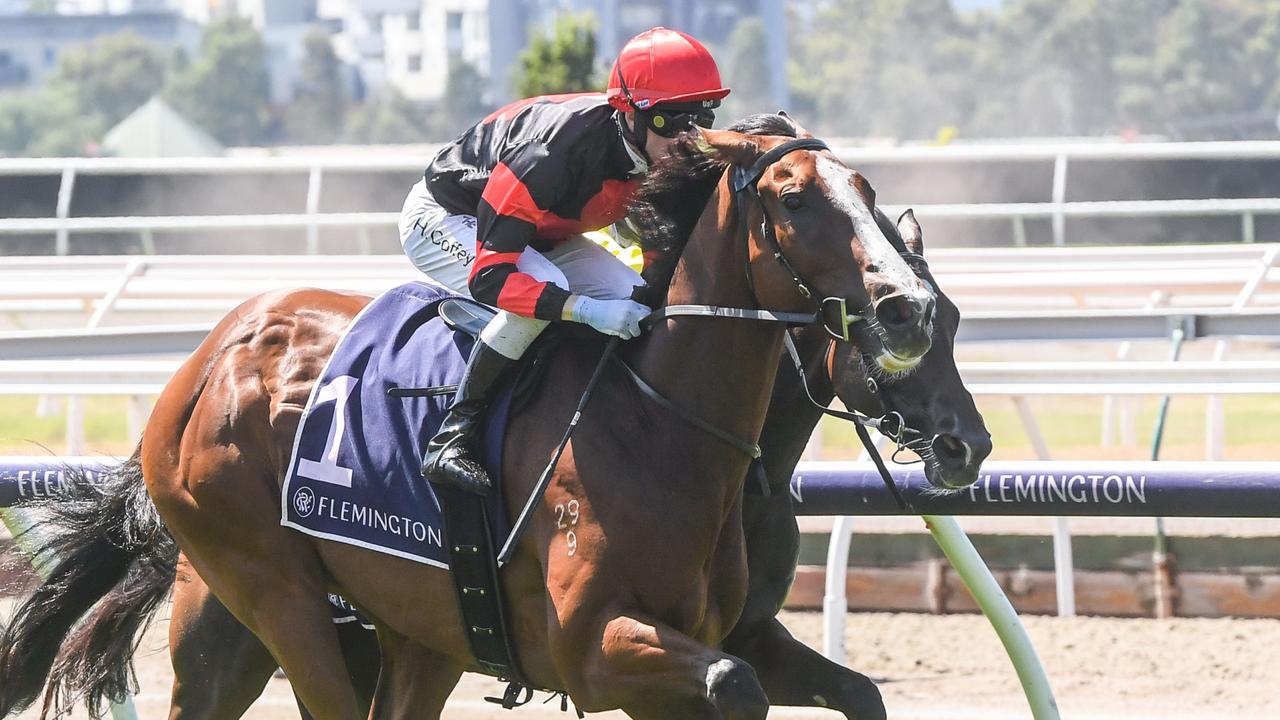 Dunkel can stamp Tasmanian Derby credentials in Launceston Guineas