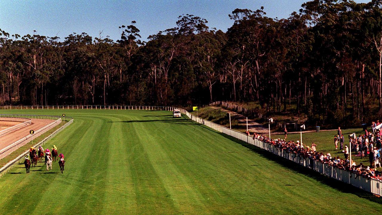 Greg Polson's Sapphire Coast, Murwillumbah Tips: $4.60 special at ...